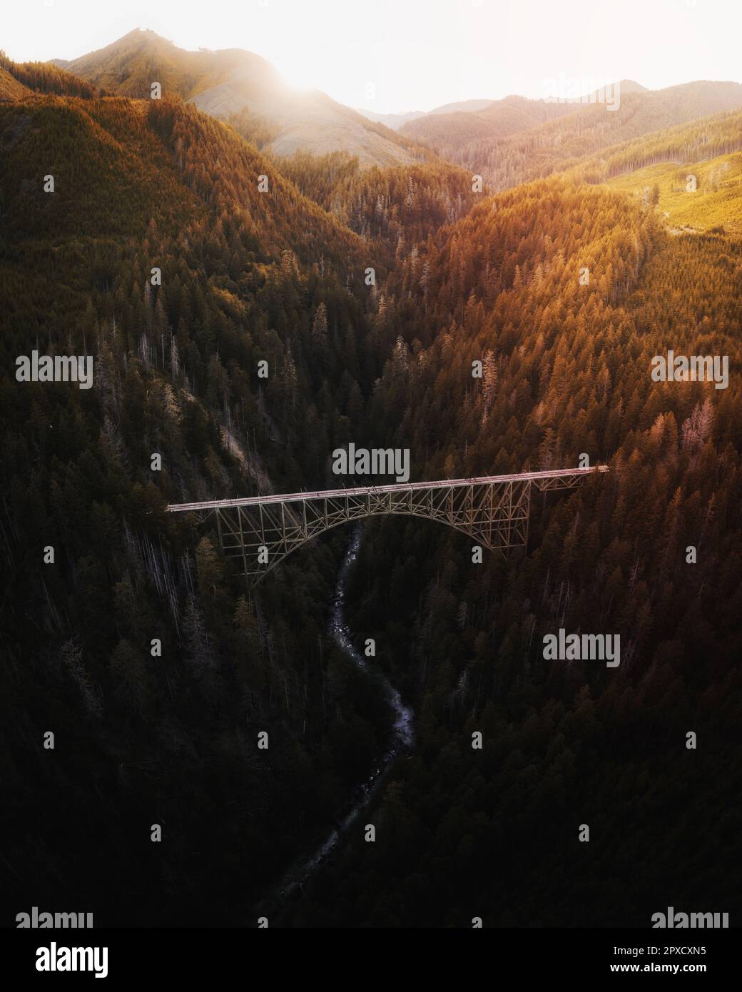 Bridge over a river in a forest Stock Photo - Alamy