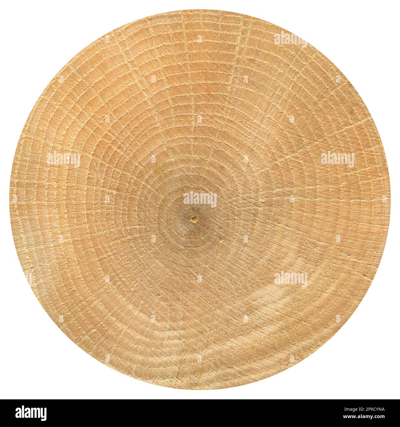 Wood grain texture, oak wood log, isolated on black background Stock ...