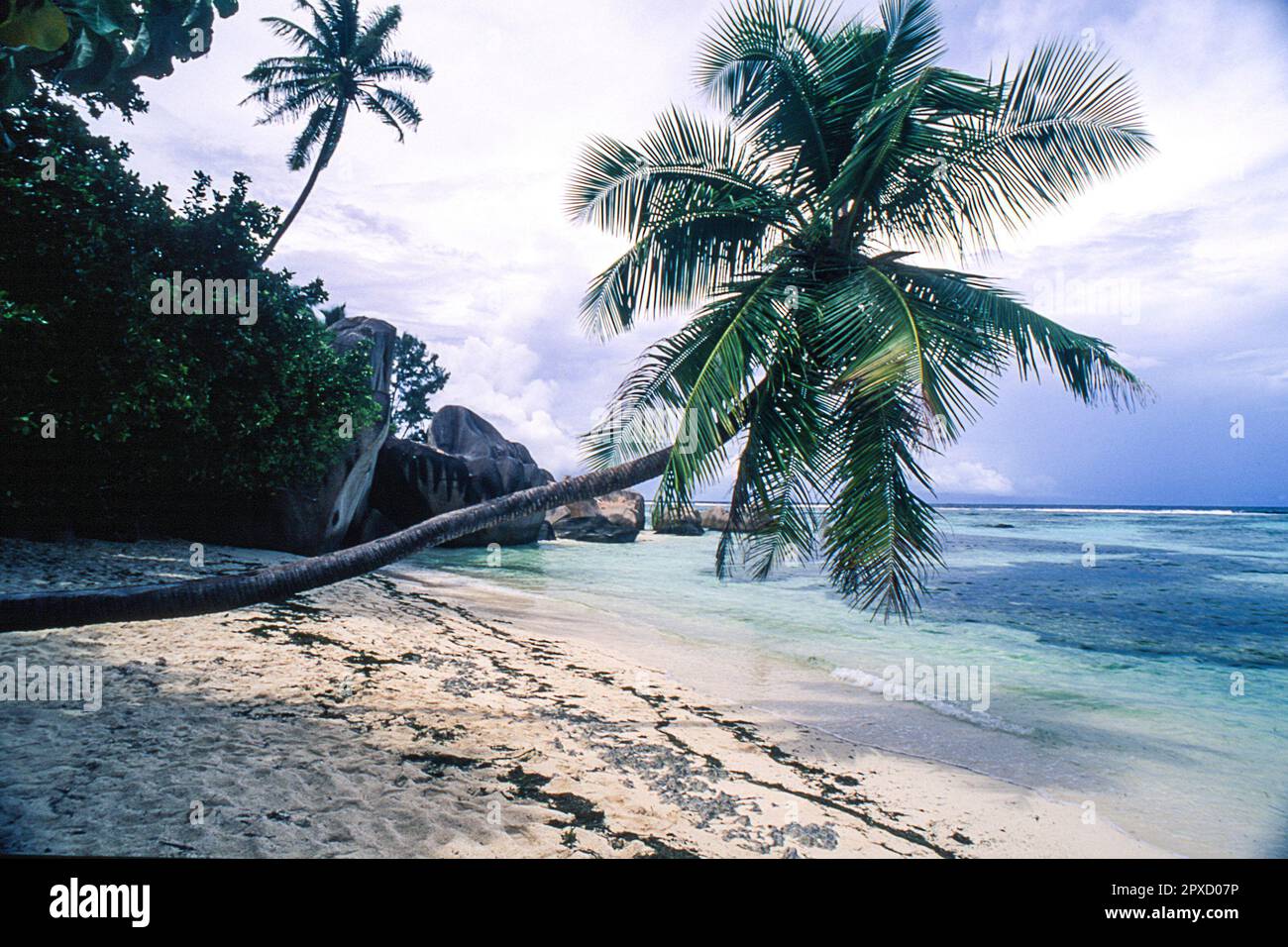 tropical beach with palm trees in Anse Source D'Argent, La Digue island ...