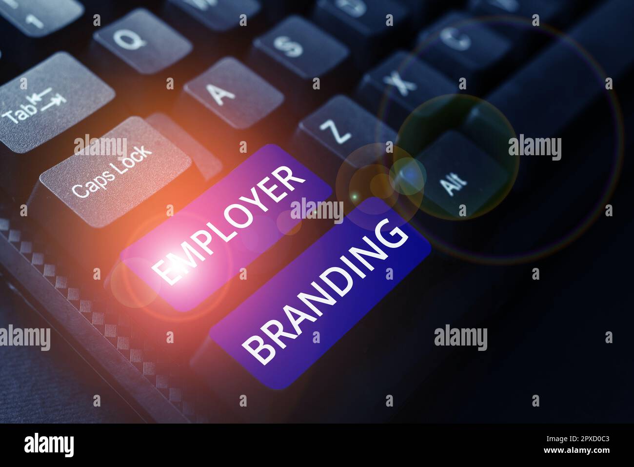 Conceptual display Employer Branding, Business overview Process of ... Conceptual display Employer Branding, Business overview Process of ...