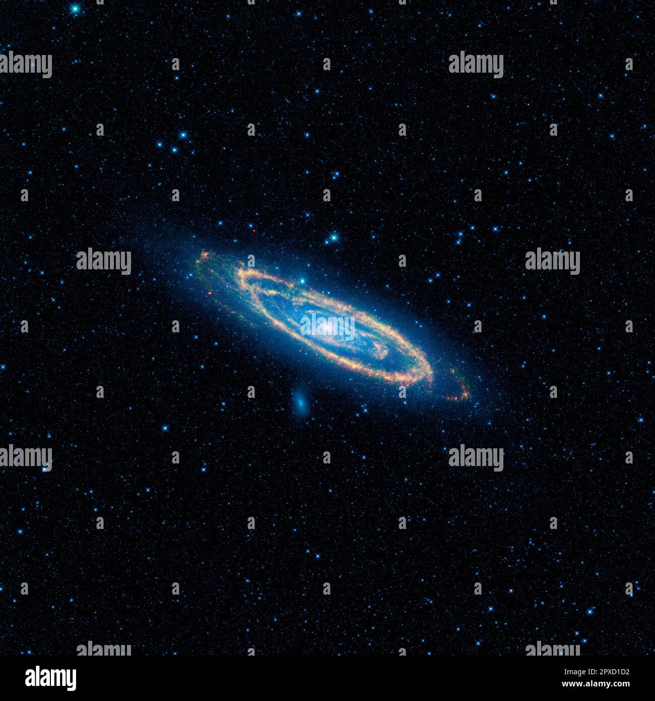 The immense Andromeda galaxy, also known as Messier 31, is captured in full in this image from ...