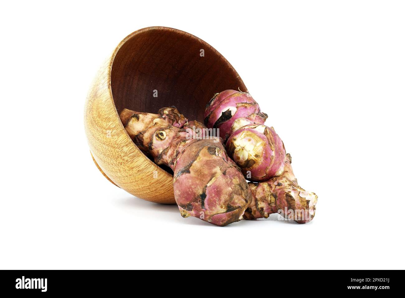 Topinambur (Helianthus tuberosus), also called sunroot, sunchoke, wild sunflower or Jerusalem ...