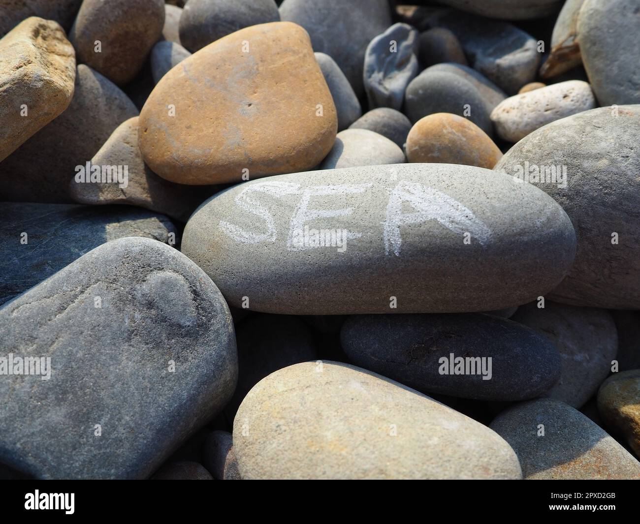 Oval stones, large smooth sea pebbles, illuminated by the summer sun ...