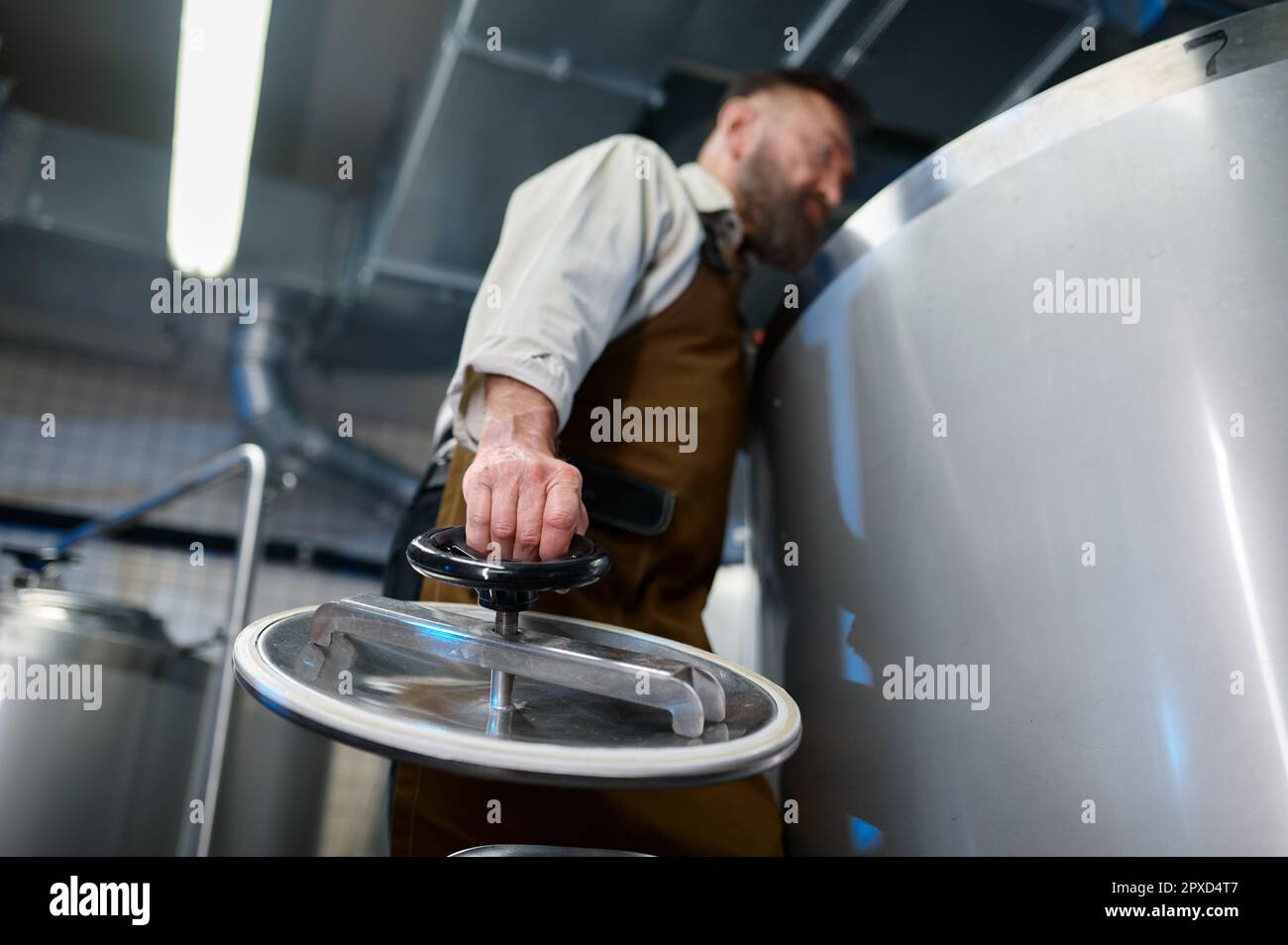 Male brewer in apron looking inside beer tank to control brewing ...