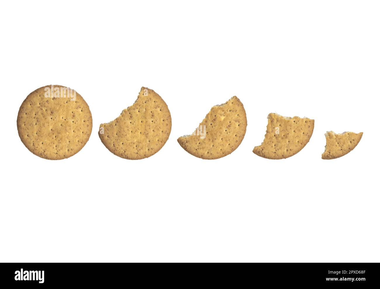 Steps of simple cookie different staged being devoured. Isolated on ...
