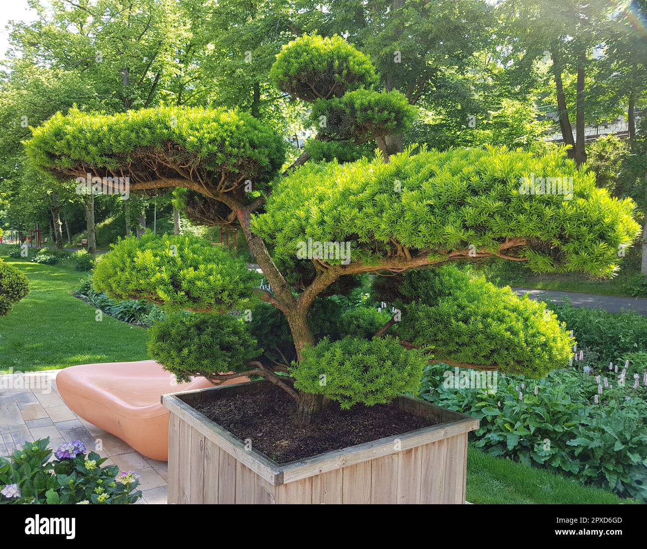 Heckenpflanzung hi-res stock photography and images - Alamy