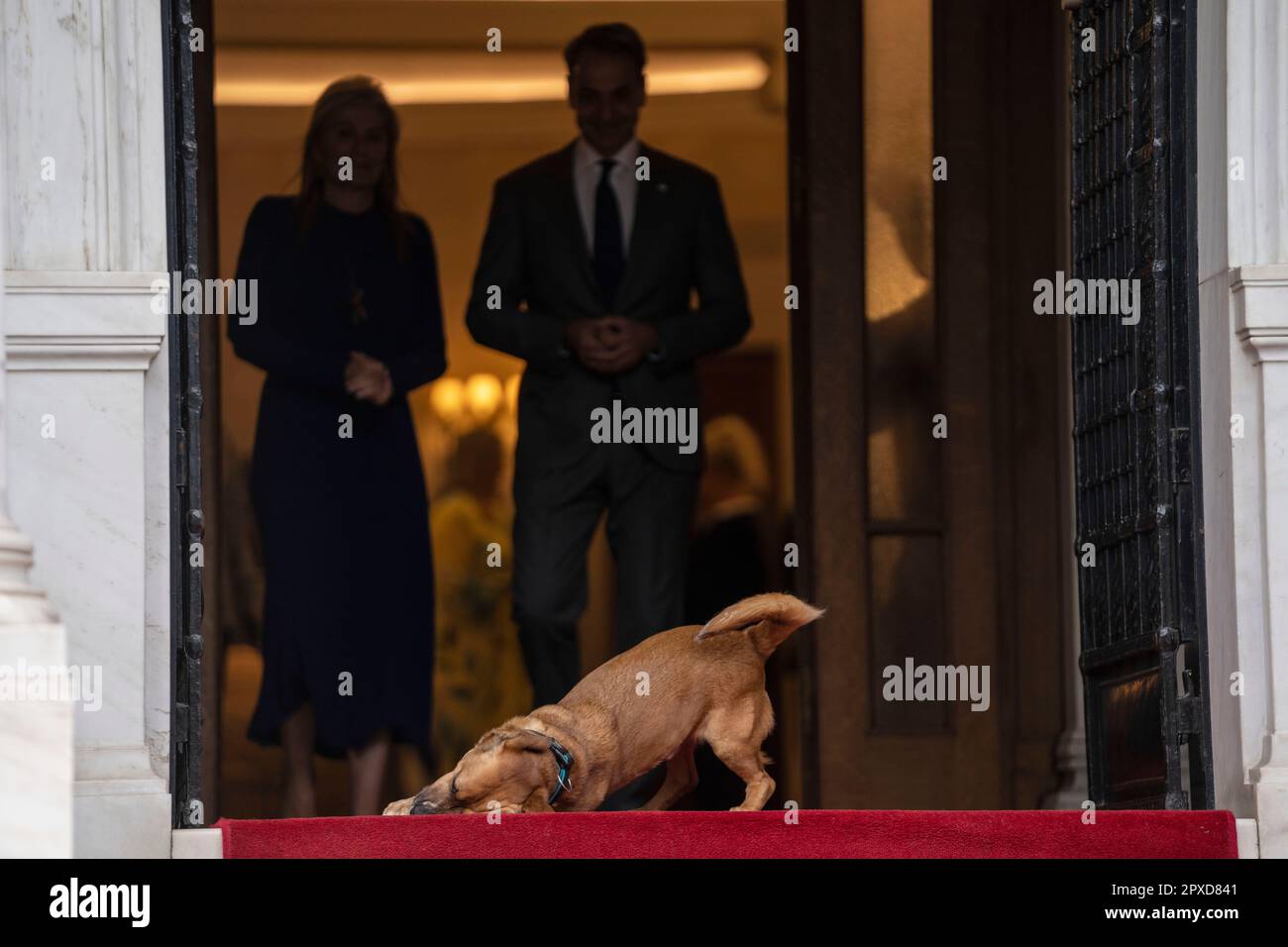 Greek Prime Minister Kyriakos Mitsotakis' dog Peanut plays as ...