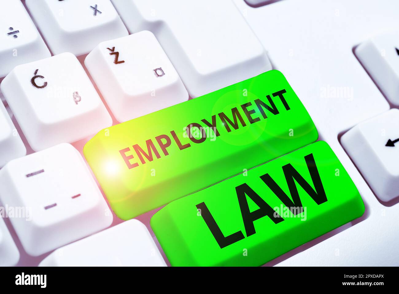 Inspiration showing sign Employment Law, Business overview deals with ...