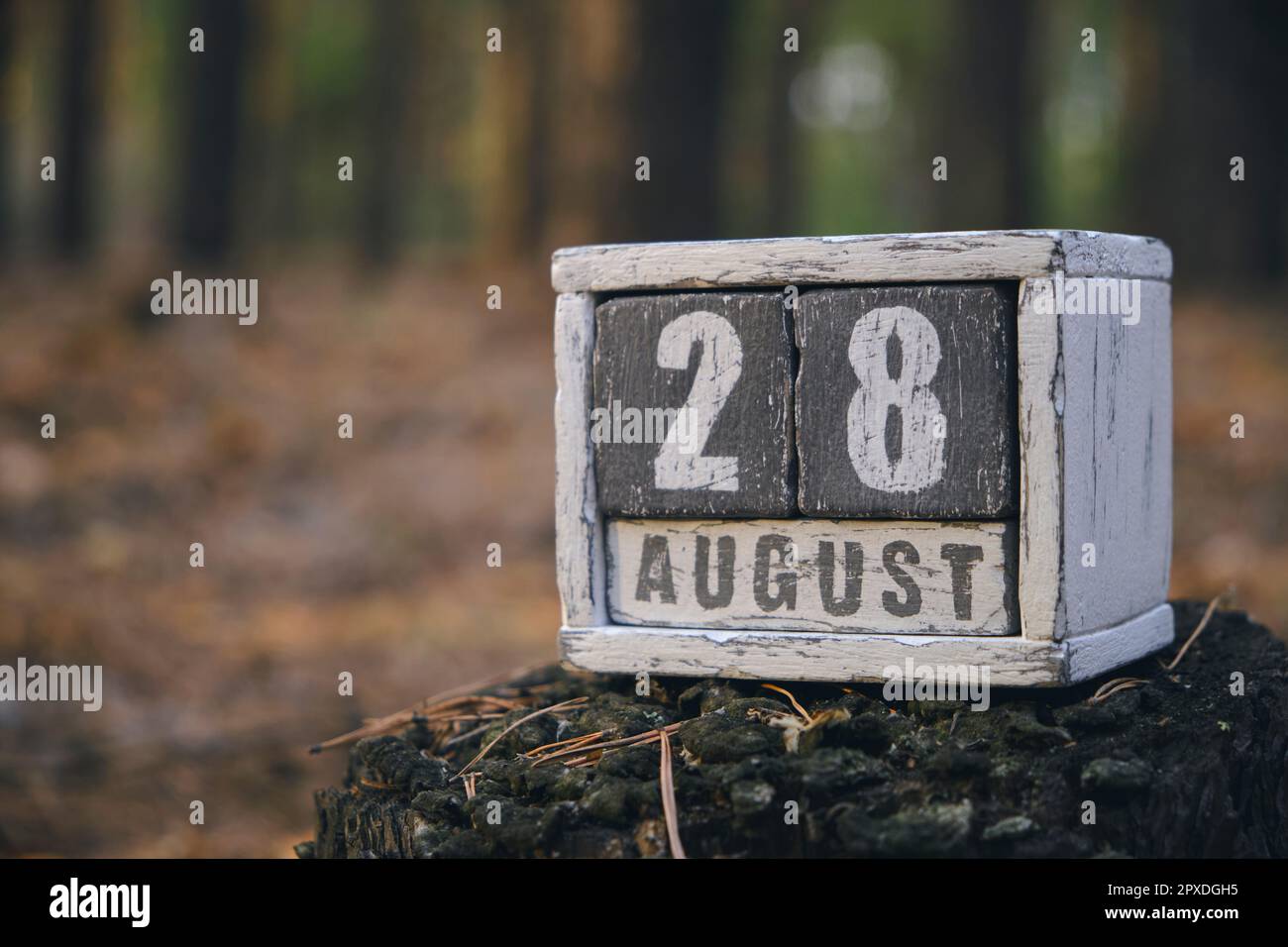 August 28 summer month, wooden calendar with date and month in forest ...