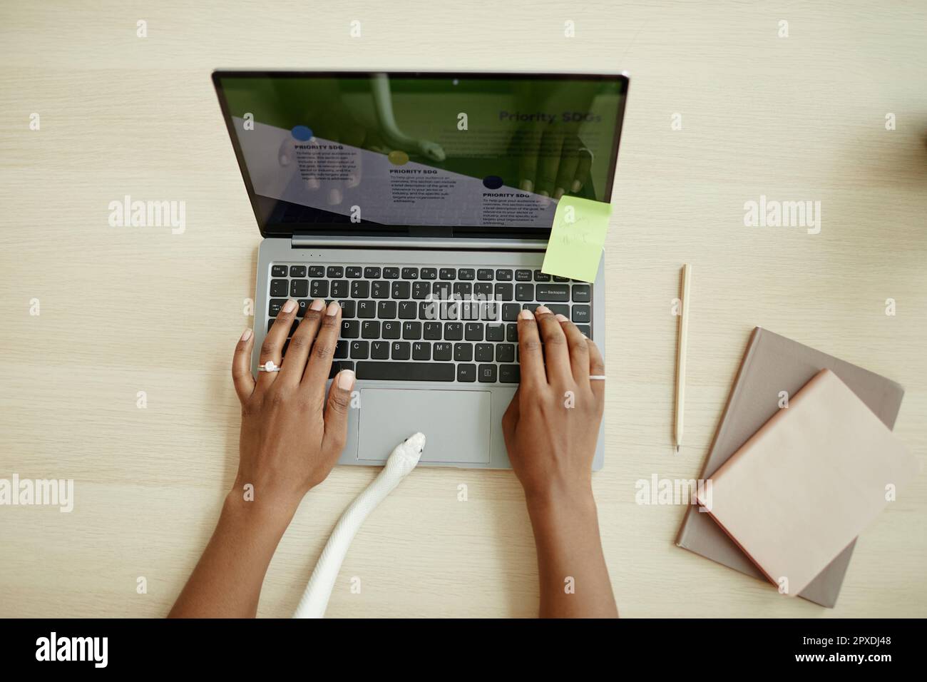 Top view of white snake creeping between hands of young African ...
