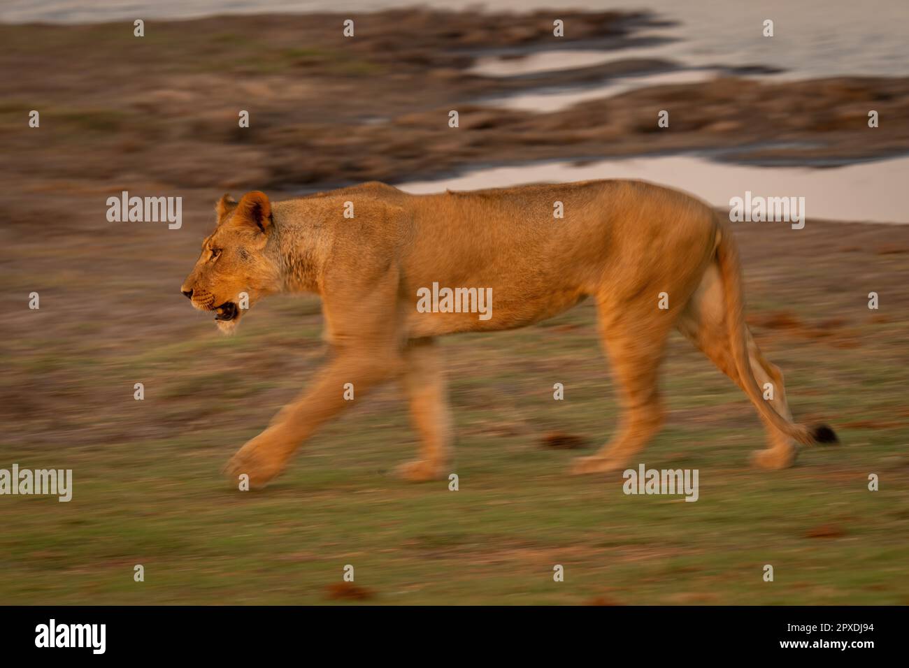 Slow pan shot hi-res stock photography and images - Alamy