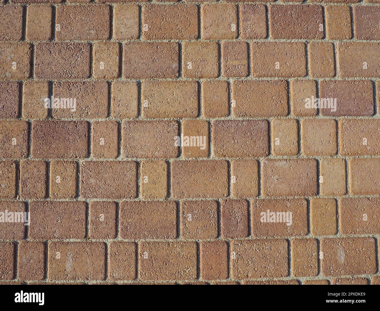 Colorful Pavement. Rectangular and square tiles in a warm brown shade ...