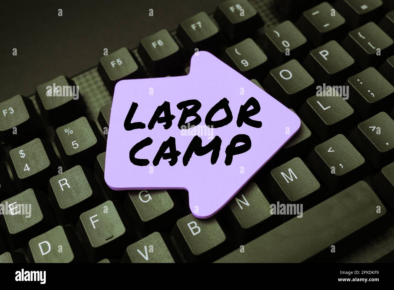 Inspiration showing sign Labor Camp, Business concept a penal colony ... Inspiration showing sign Labor Camp, Business concept a penal colony ...