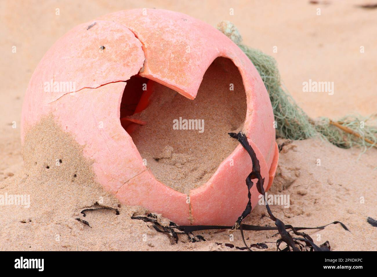 Plastic buoy washed up on beach Stock Photo - Alamy