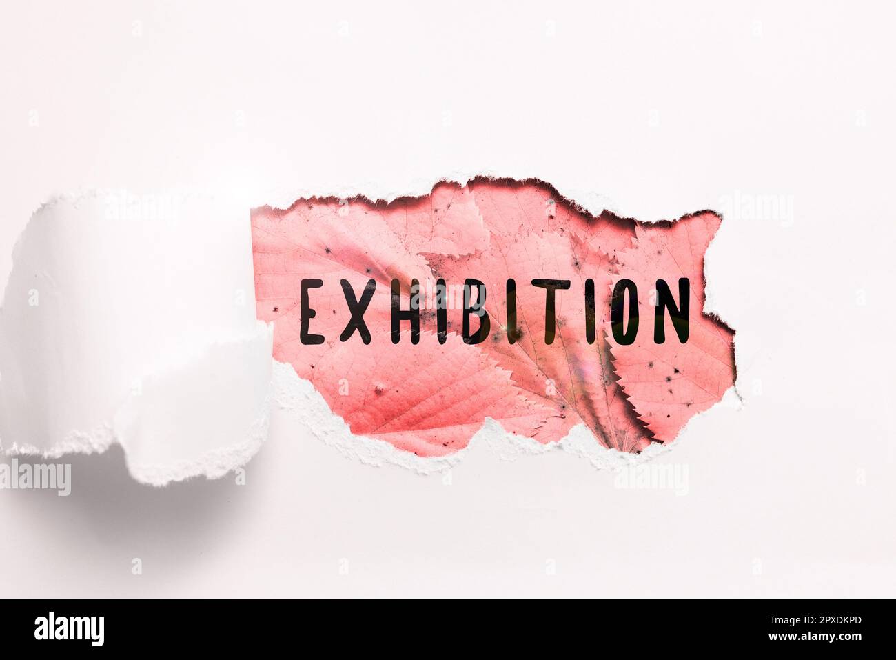 Sign displaying Exhibition, Concept meaning and act of exposing ...