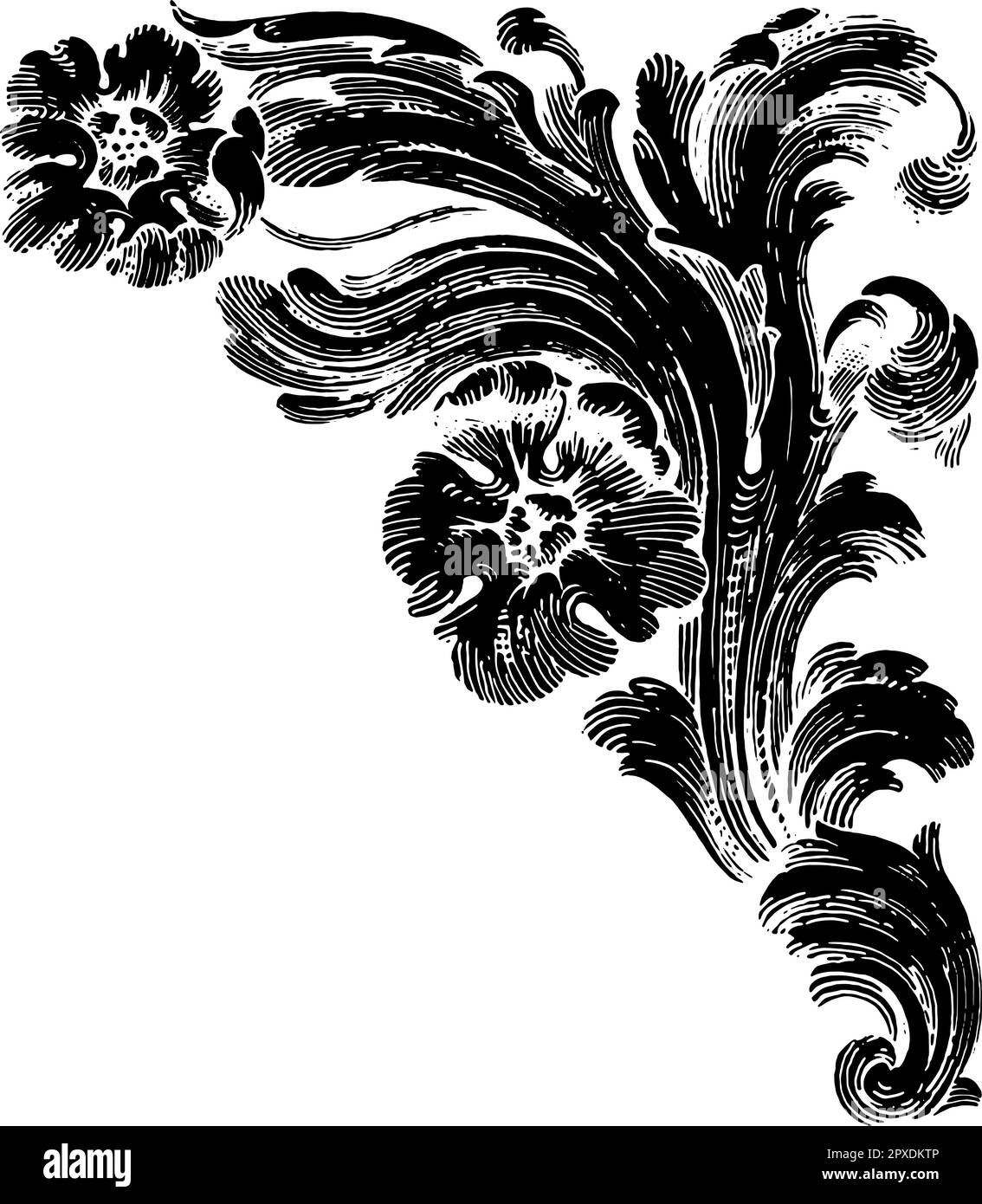 Vector baroque of vintage elements for design. Baroque Scroll as ...
