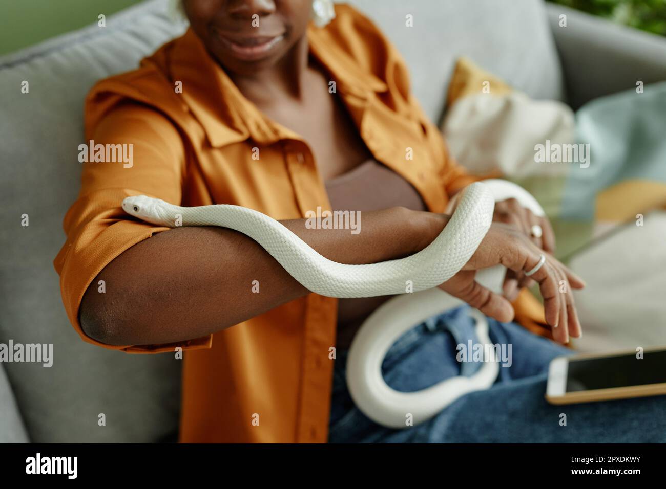 Close-up of white rat snake creeping over arms of young African American female owner holding ...