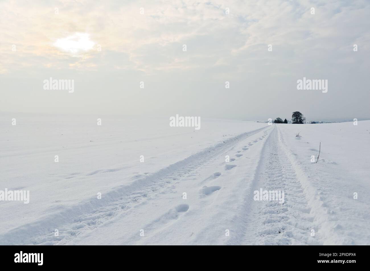A winter landscape with a path and tracks, winter in Germany Stock ...