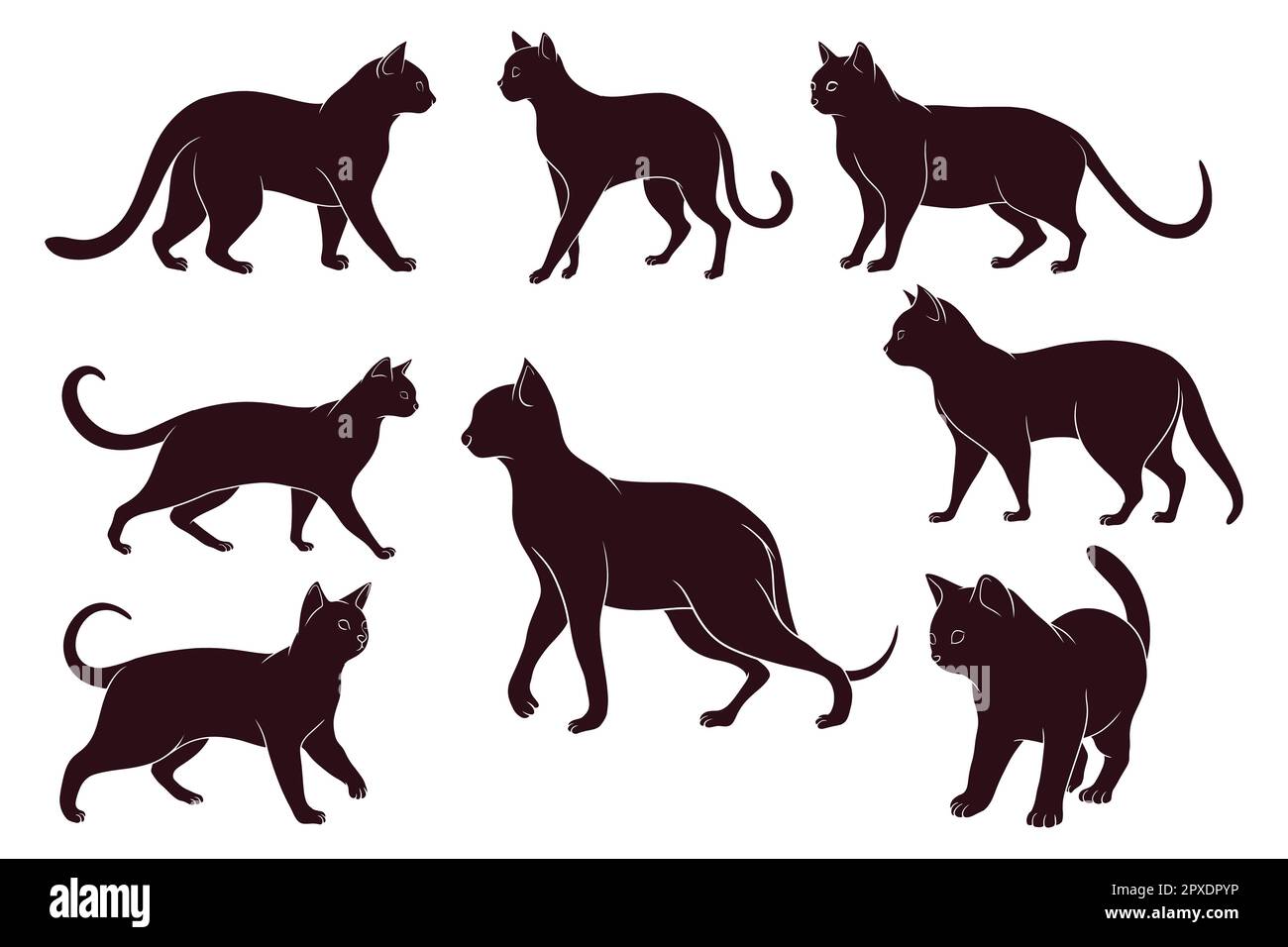 Sketch domestic cat walking Stock Vector Images - Alamy