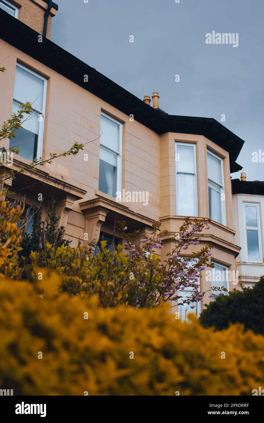 Terraces homes in the conservation area in Dennistoun, Glasgow Stock ...
