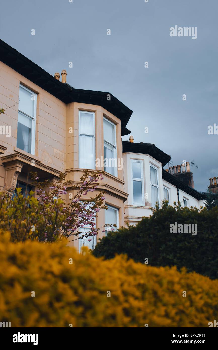 Terraces homes in the conservation area in Dennistoun, Glasgow Stock ...
