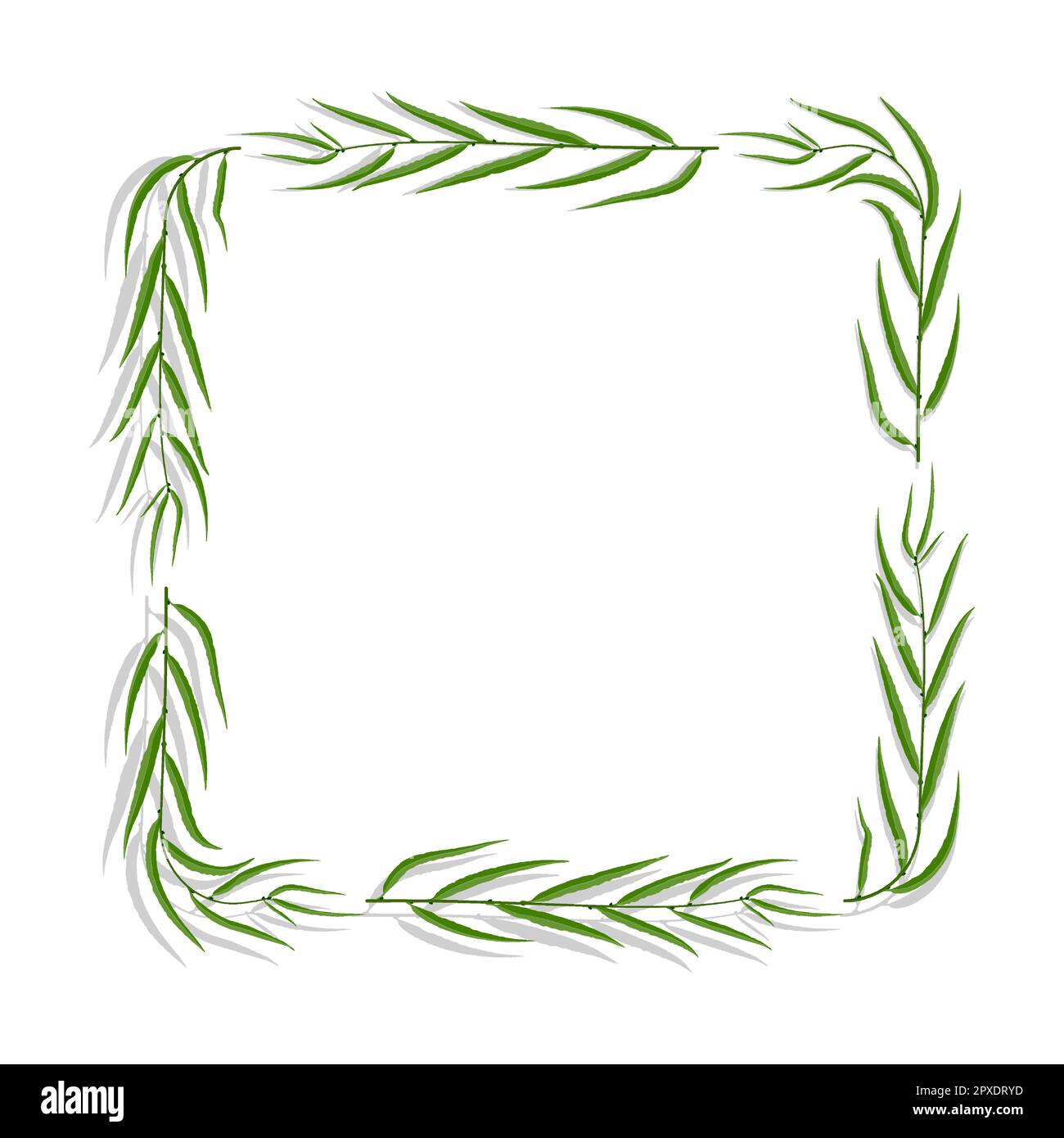 Willow tree frame with green leaves. Square border for greeting card ...