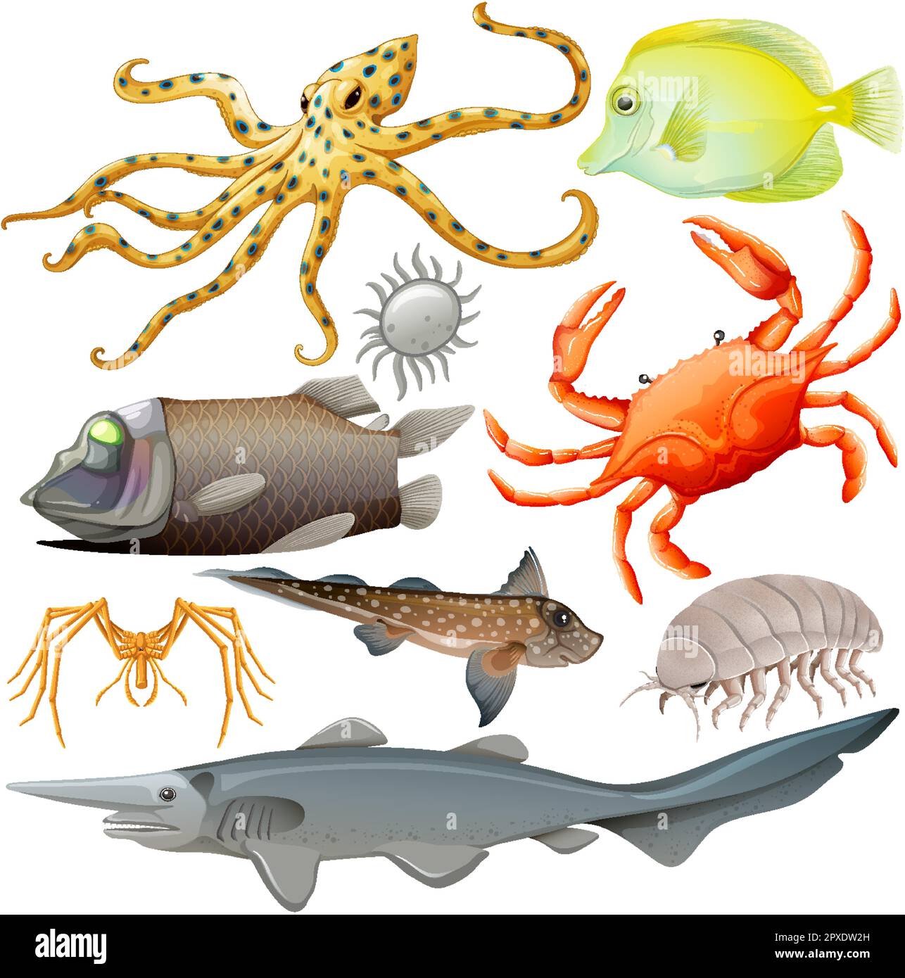 Sea Animals Vector Collection illustration Stock Vector Image & Art - Alamy
