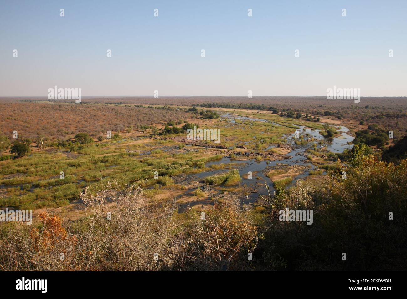 Krüger Park - Afrikanischer Busch - Olifants River / Kruger Park ...