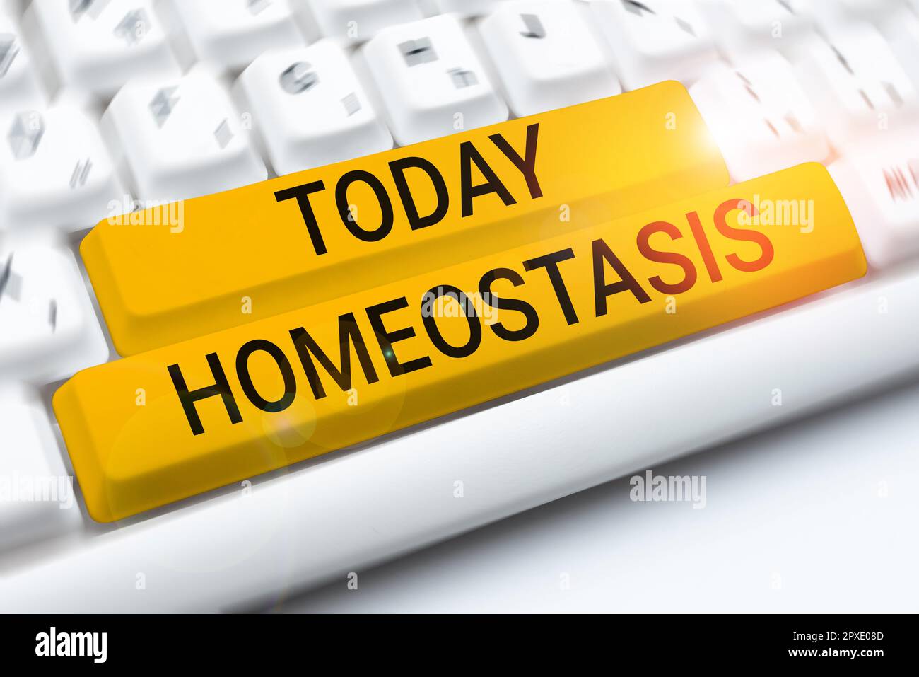 Hand writing sign Homeostasis, Business approach the tendency toward a ...