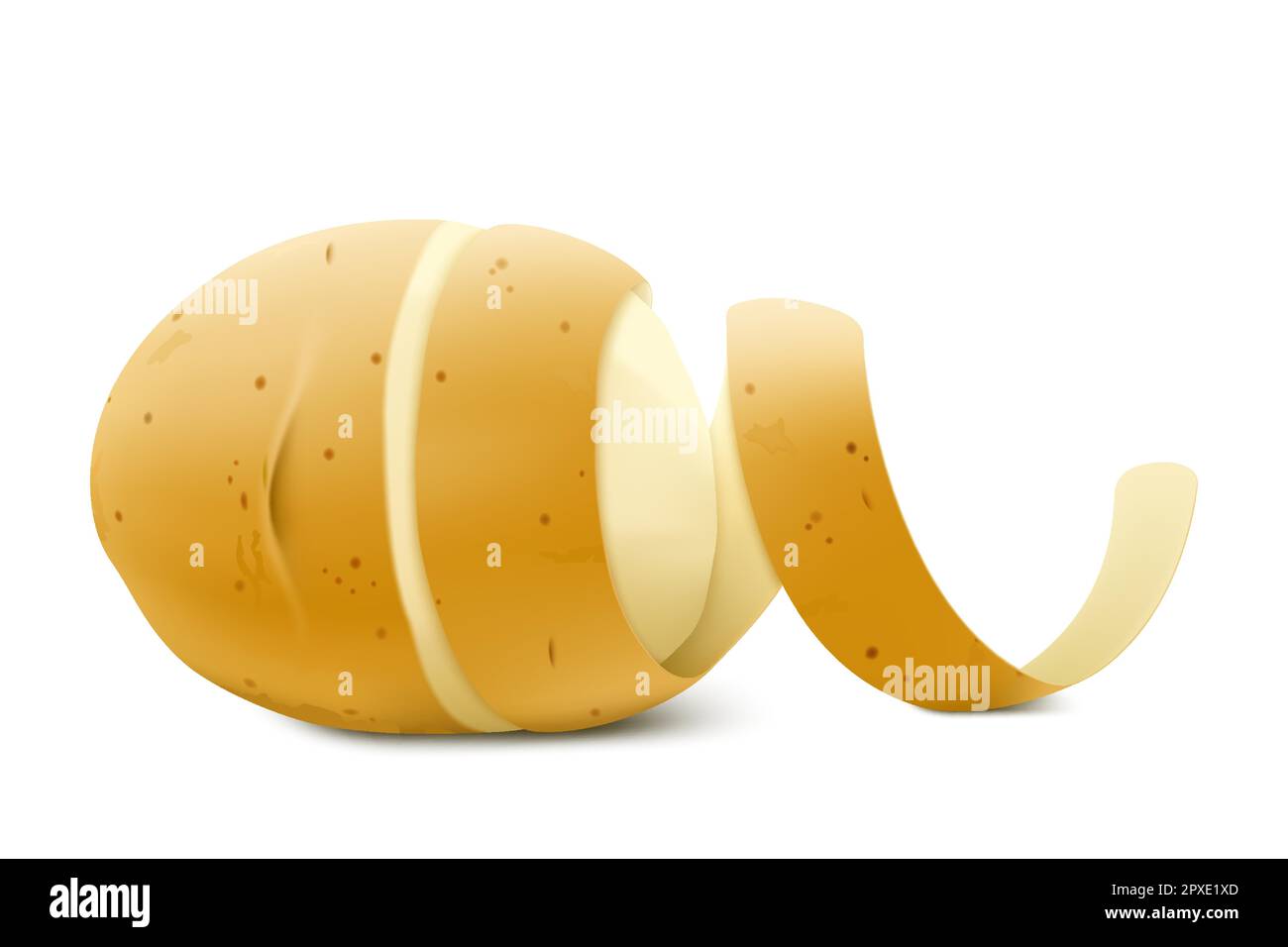 Realistic Half Peeled Potato with twisted peel . Close up 3d vector ...