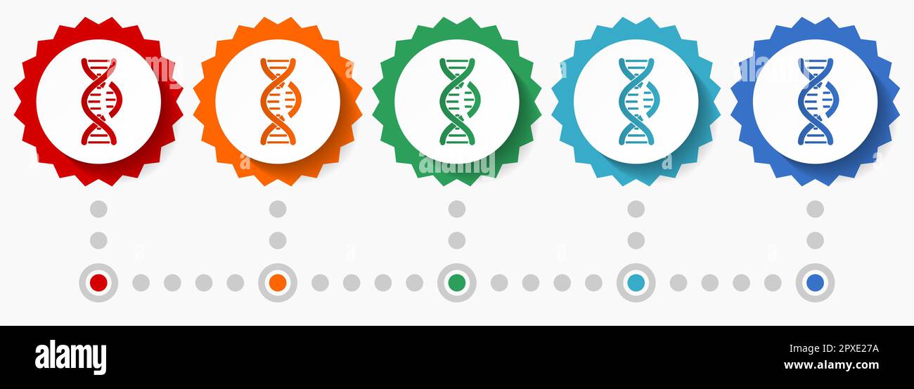 DNA cut vector icon set, colorful infographic template, set of flat ...