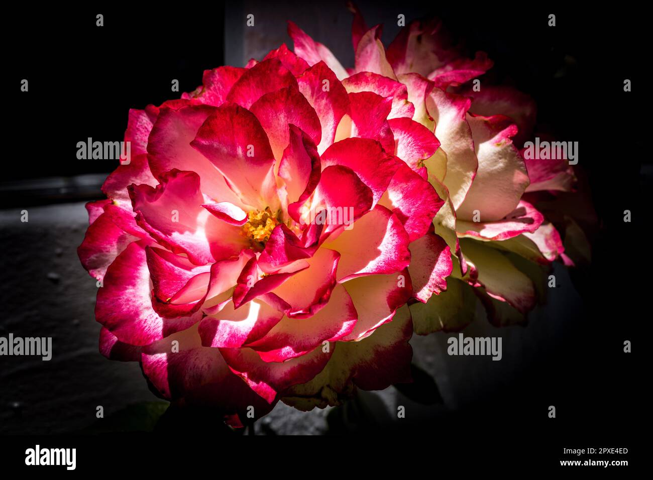 Stark powerful dramatic hi-res stock photography and images - Alamy
