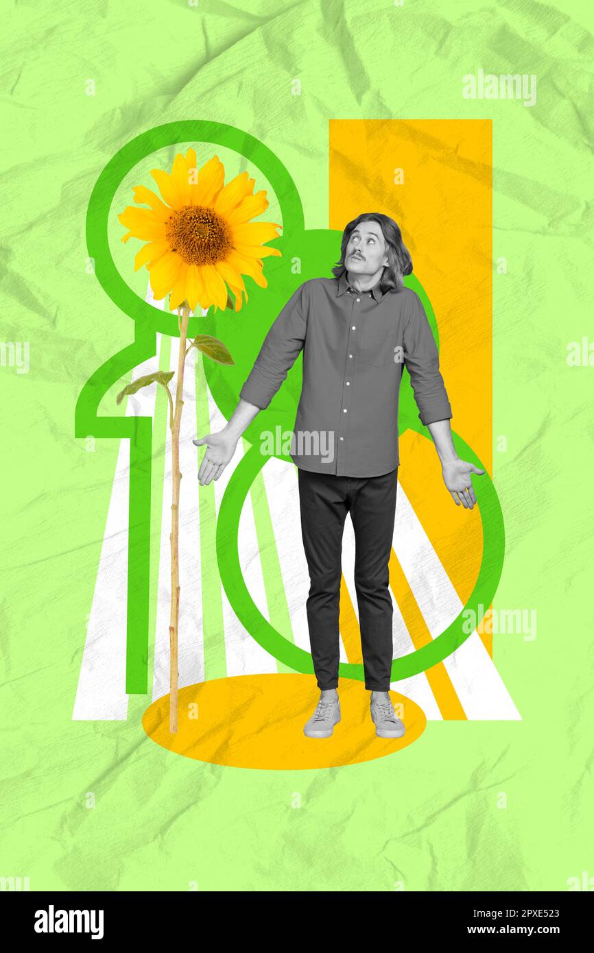Image poster banner collage of clueless young guy growing sunflower not ...