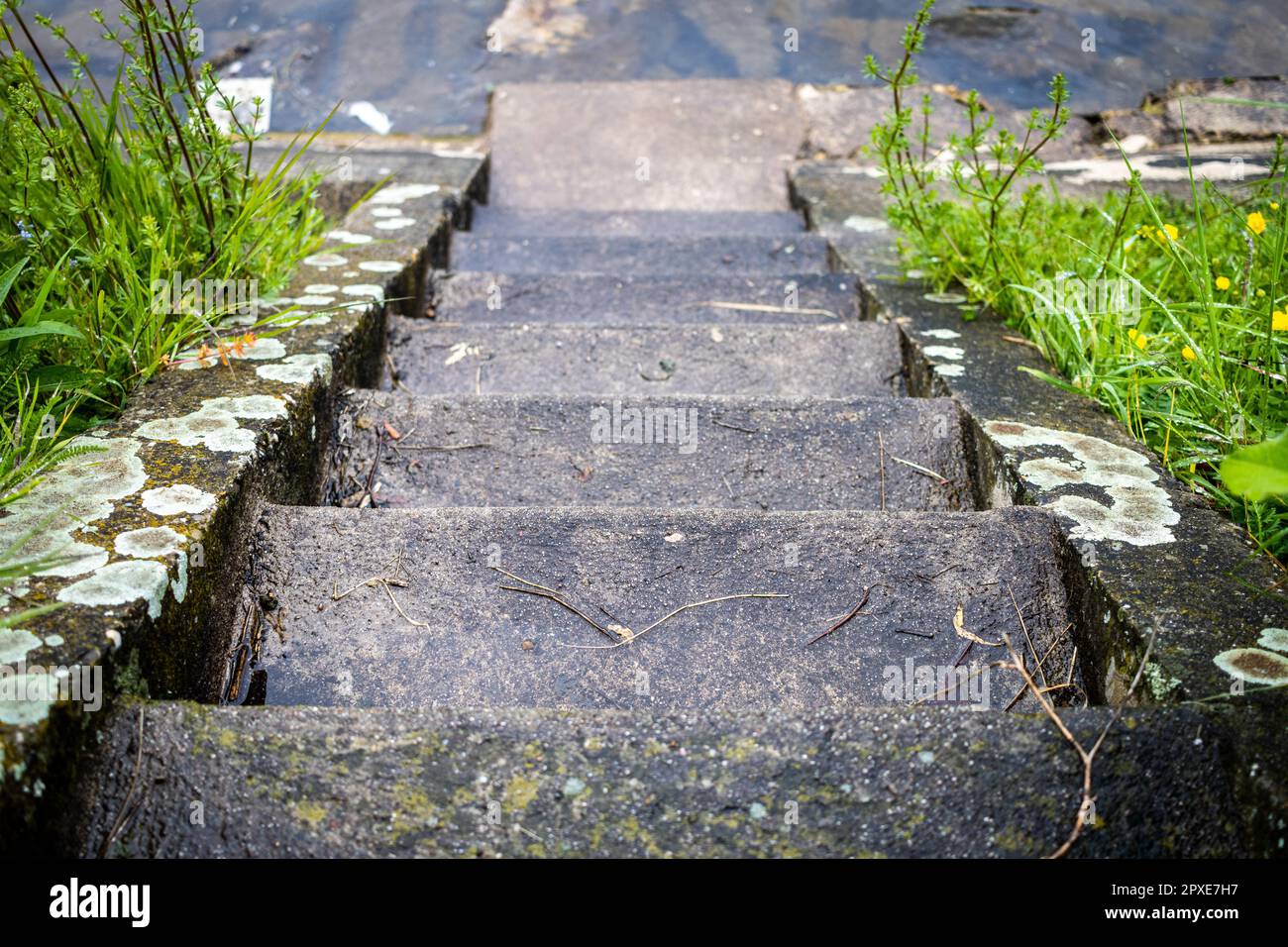 Steps leading to canal hi-res stock photography and images - Alamy