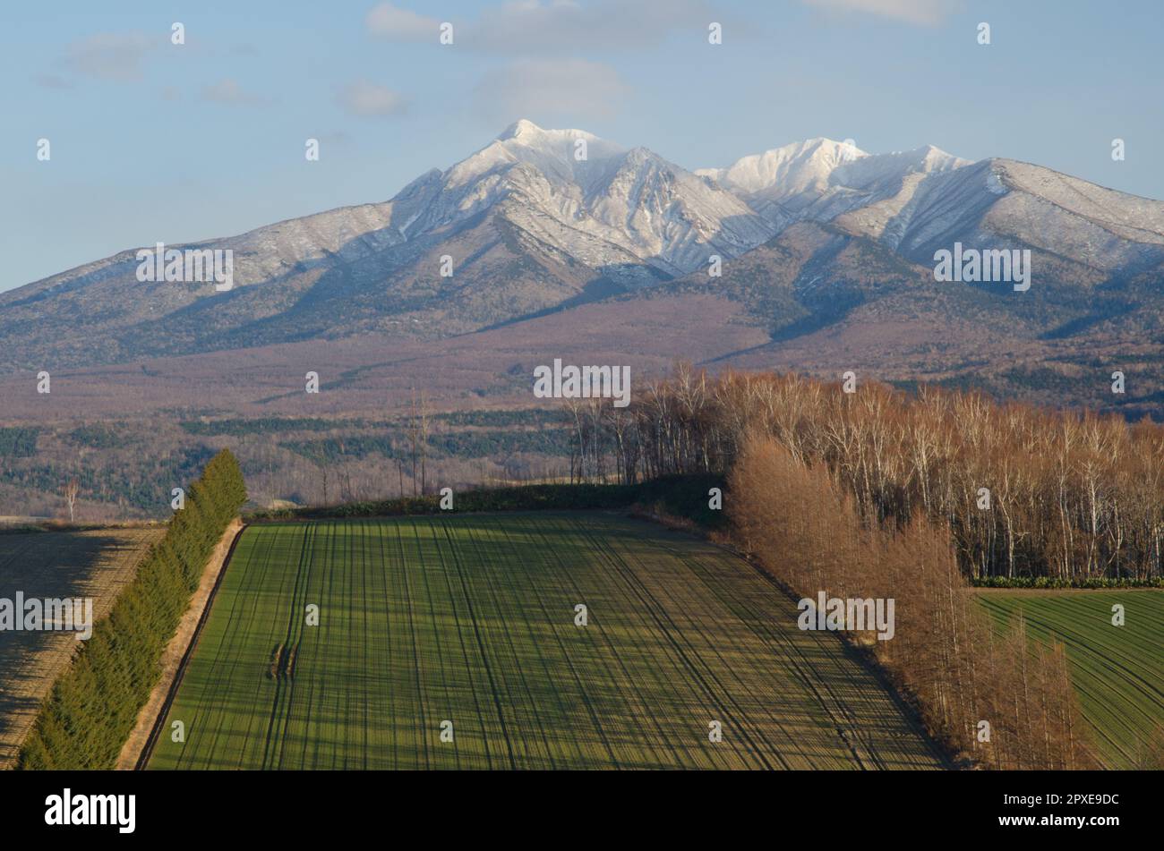 Cultivated fields in Kiyosato under Mount Shari. Hokkaido. Japan Stock ...