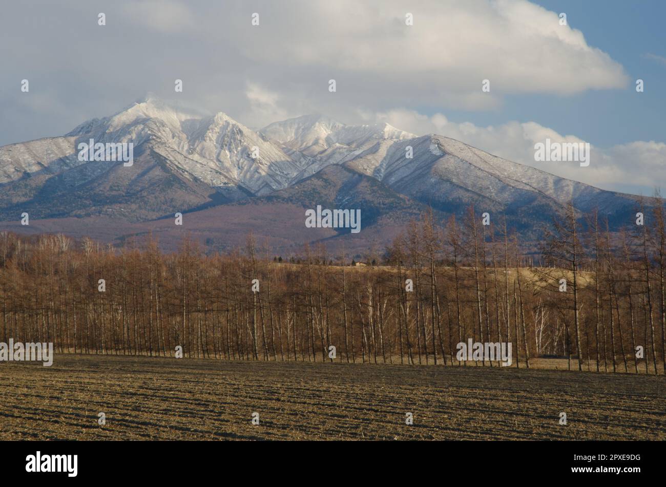 Rural landscape in Kiyosato and Mount Shari. Hokkaido. Japan Stock ...