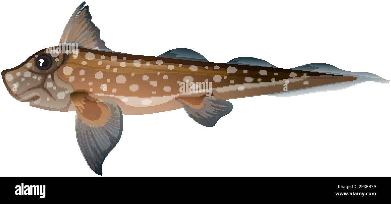 Deep sea creatures Chimaera fish illustration Stock Vector Image & Art ...