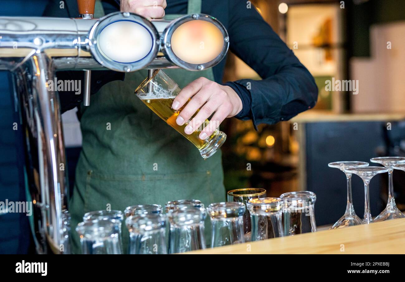 Female bartender tapping beer in bar, pouring from tap into the glass ...
