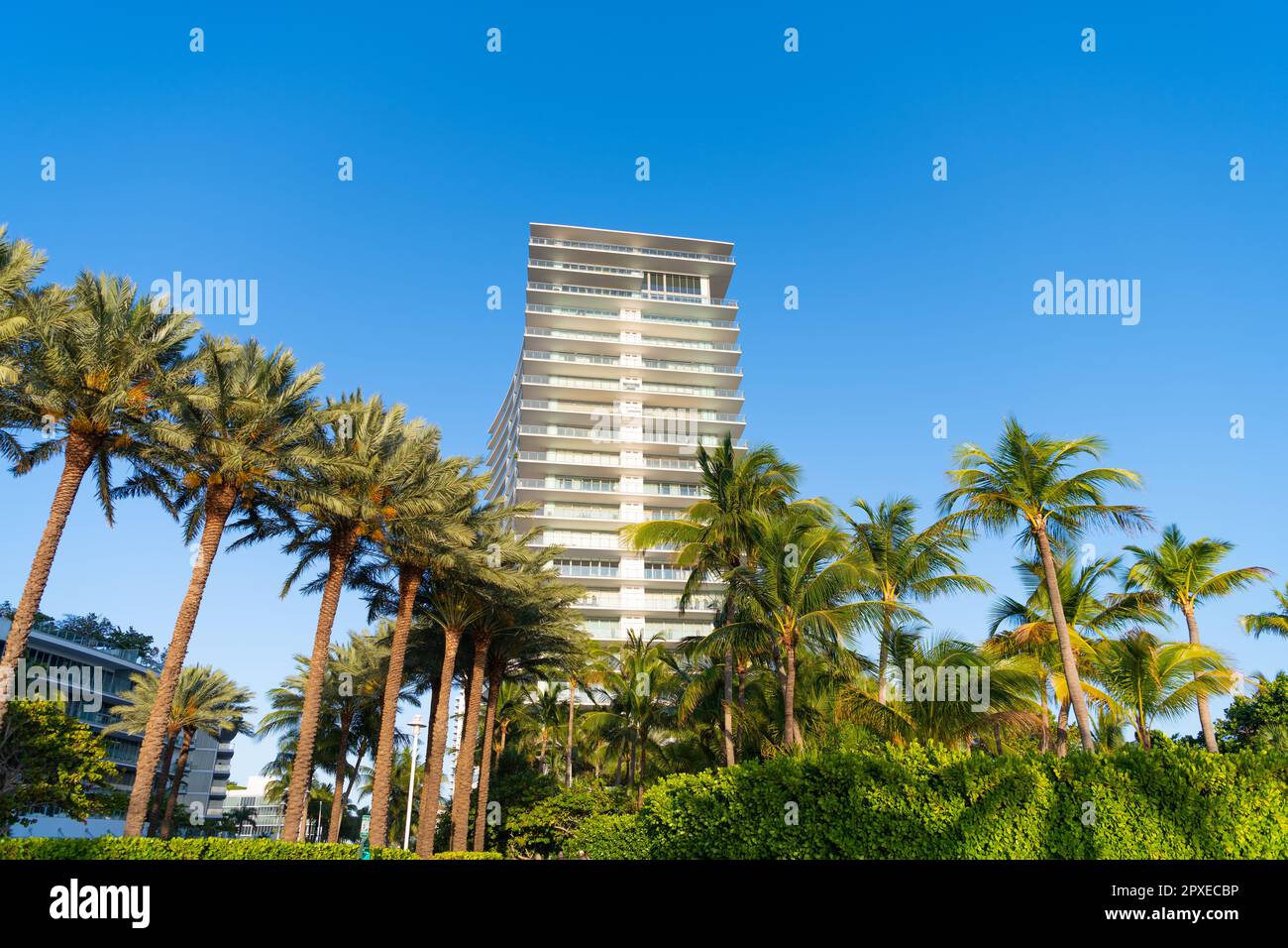 skyscraper architecture in miami with palm trees. photo of skyscraper ...