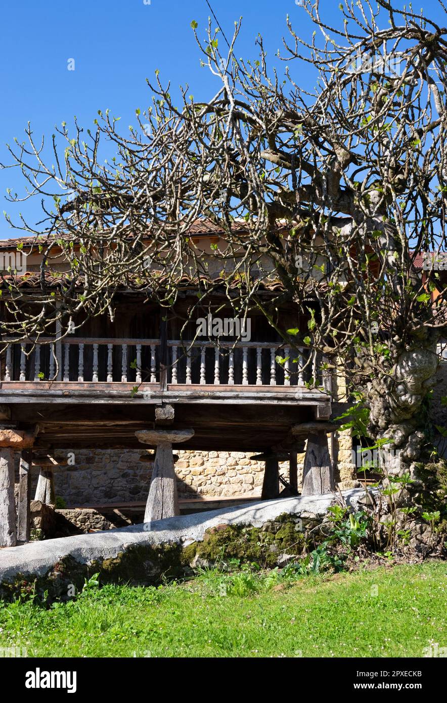 Traditional rural house in Asturias,Spain Stock Photo - Alamy