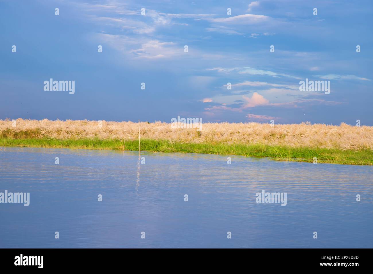 Beautiful landscape view of Padma river in Bangladesh Stock Photo - Alamy