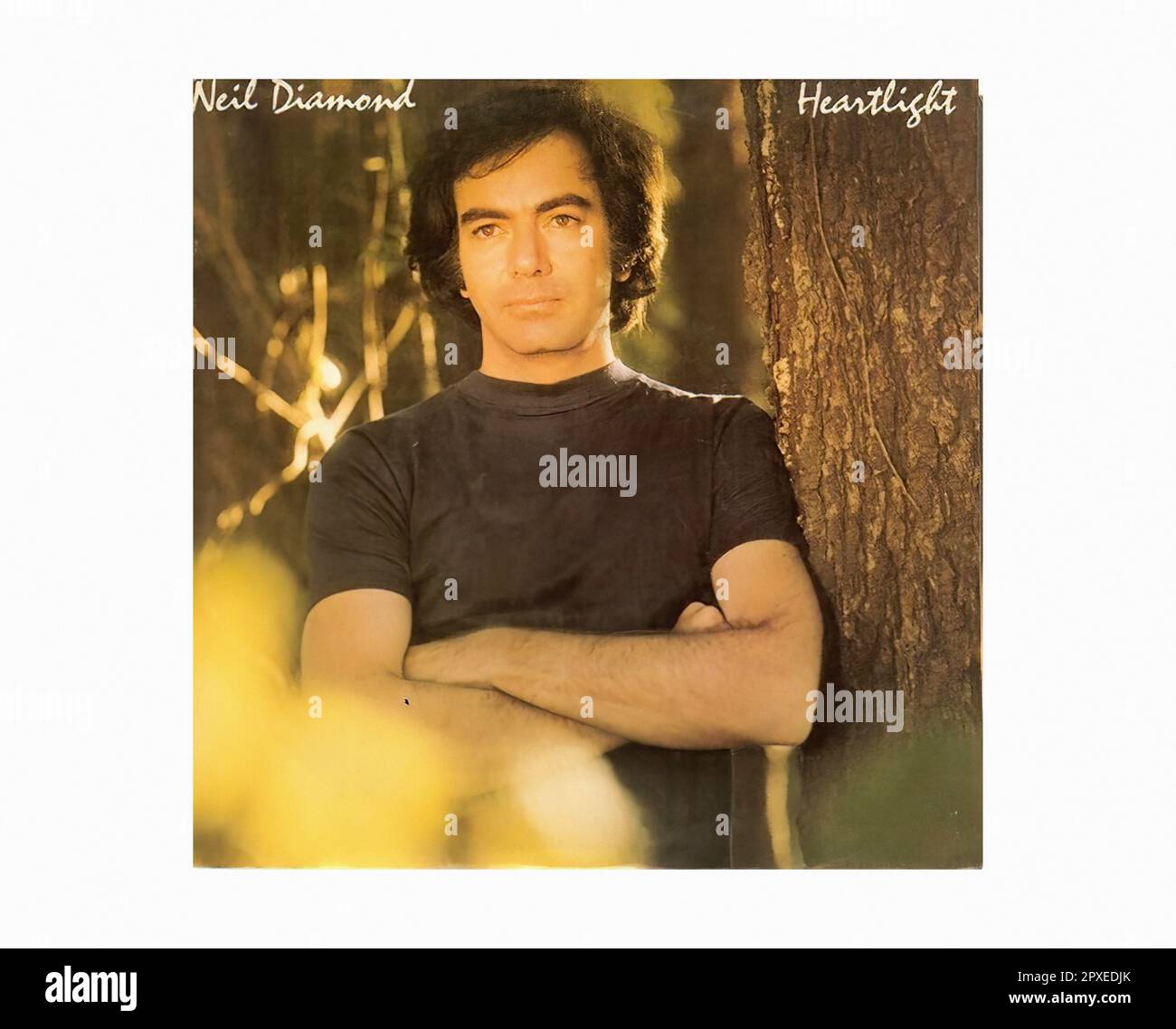 Neil diamond Cut Out Stock Images & Pictures - Alamy
