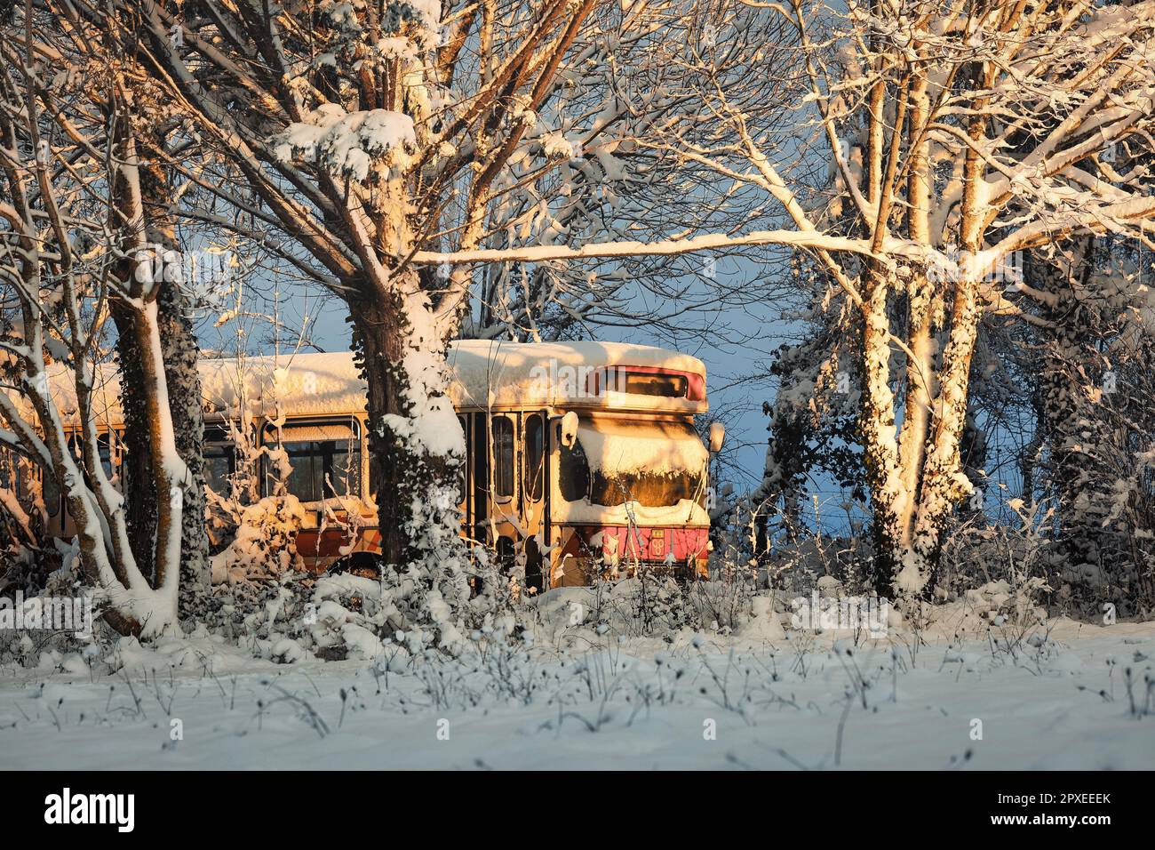 A scenic winter wonderland featuring a snow-covered bus visible through ...