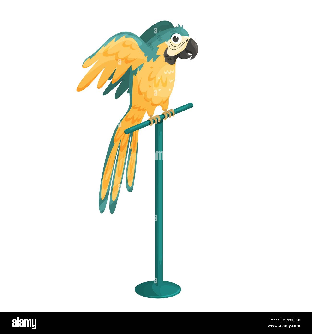 Sitting parrot hi-res stock photography and images - Alamy