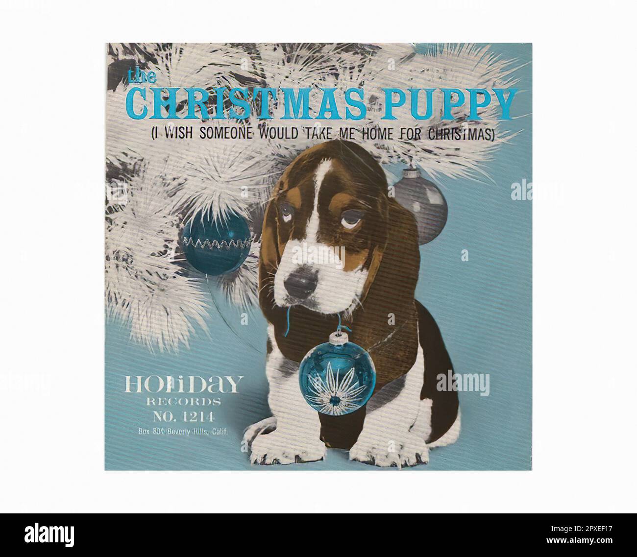 R dog Cut Out Stock Images & Pictures - Alamy