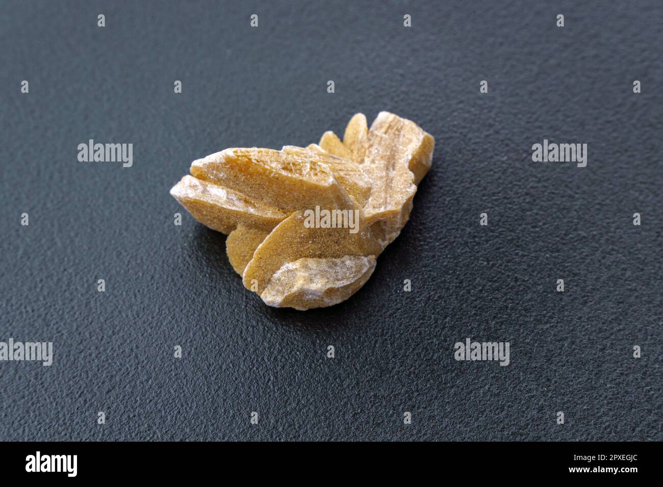 Desert rose. Rock composed of gypsum close up, crystals that resemble ...
