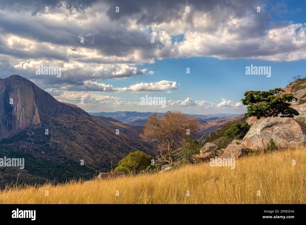 Andringitra national park, Haute Matsiatra region, Madagascar ...