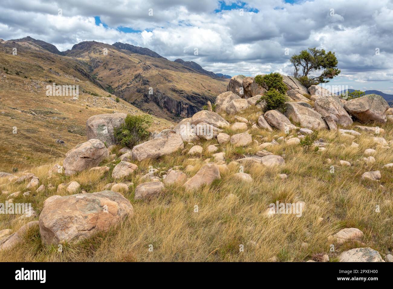 Andringitra national park, Haute Matsiatra region, Madagascar ...