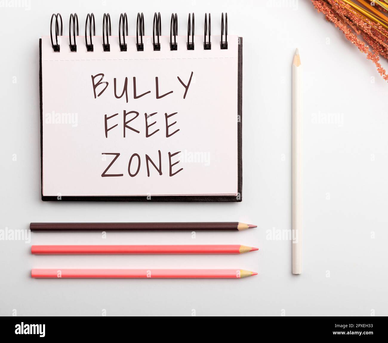 Sign displaying Bully Free Zone, Conceptual photo Be respectful to ...