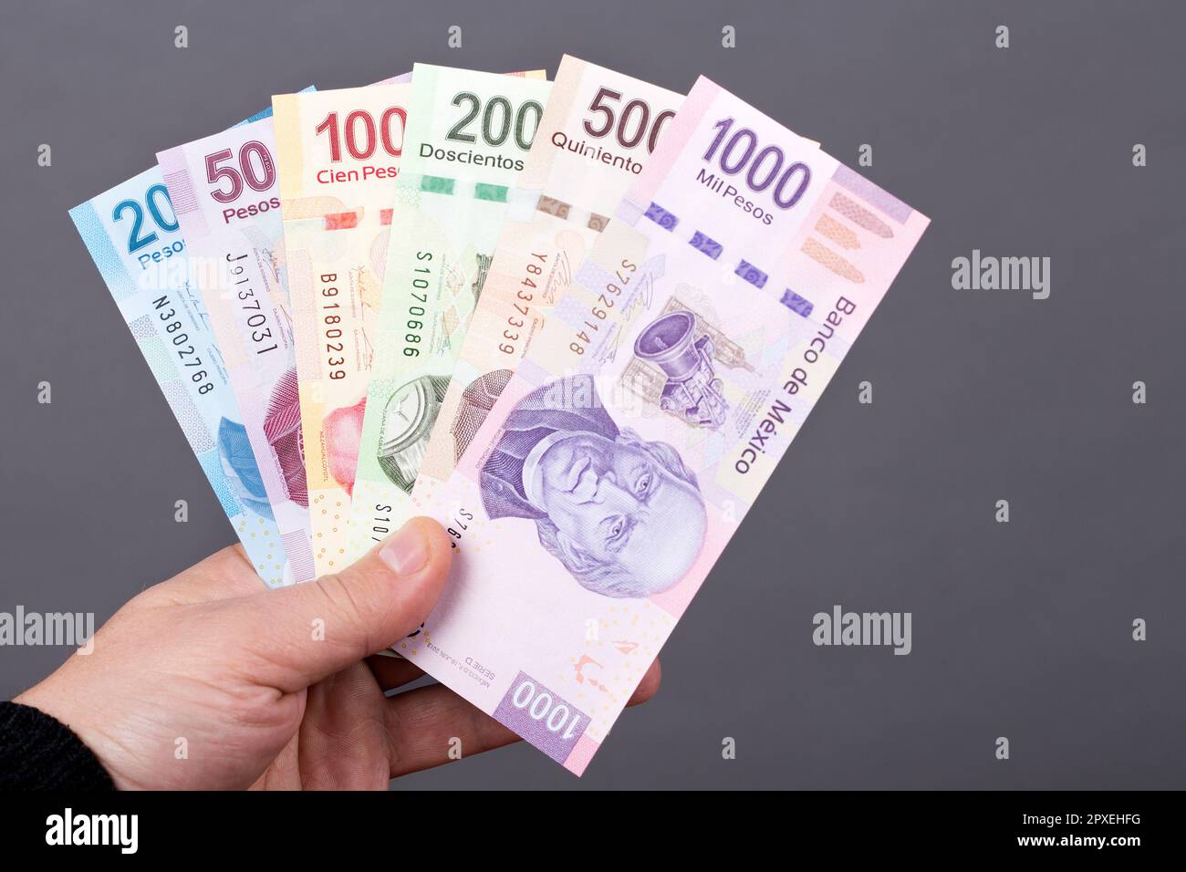 Mexican money - Pesos in the hand on a gray background Stock Photo - Alamy